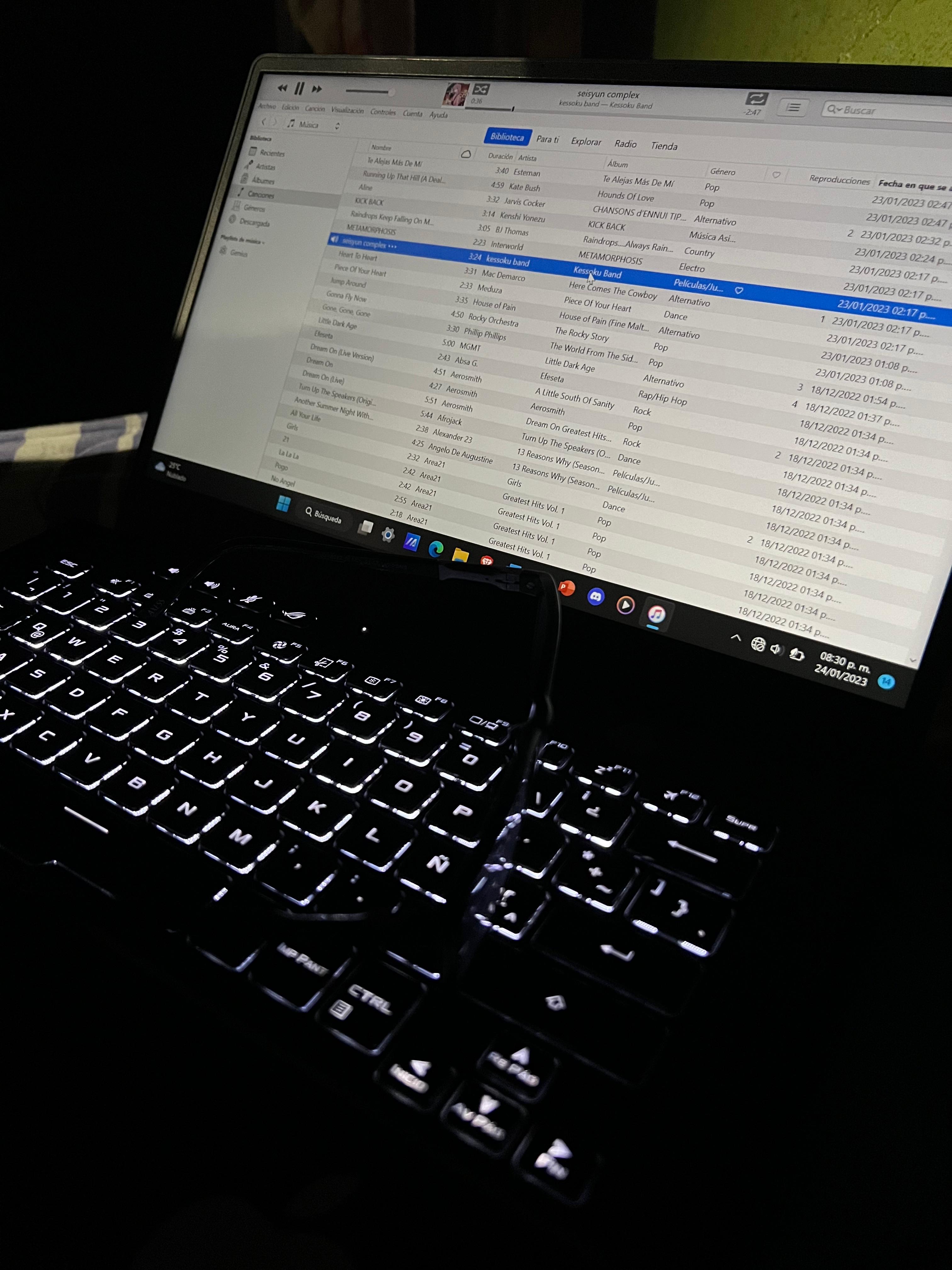 Alary Guzmán - Portafolio Personal